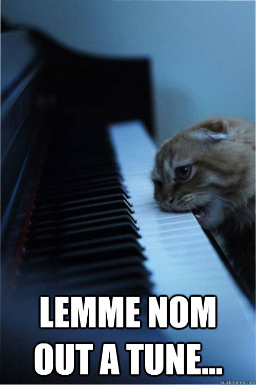 lemme nom out a tune... - music noming cat - quickmeme