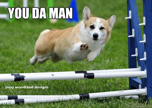You da man - Inspirational Corgi - quickmeme