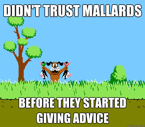 Didn't trust mallards Before they started giving advice - Misc - quickmeme