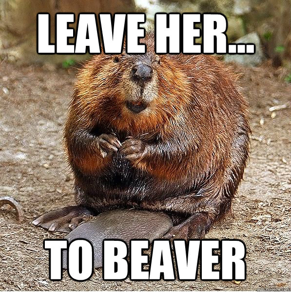 Leave Her... To Beaver - Creepy Beaver - quickmeme