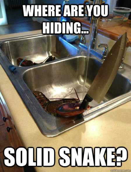 Where are you hiding... solid snake? - You caught the wrong one - quickmeme