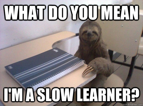 Sloth Student memes | quickmeme