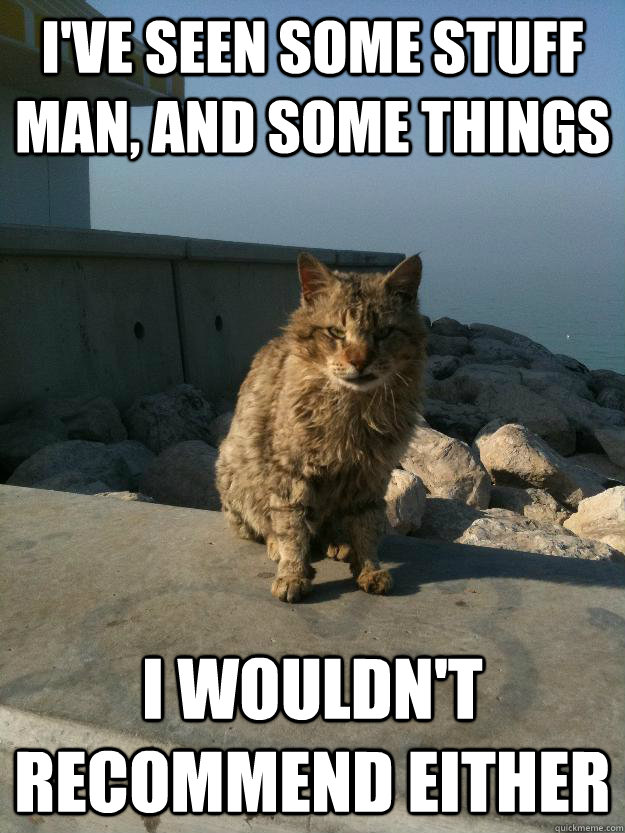 I've seen some stuff man, and some things i wouldn't recommend either - Bitter Cat - quickmeme