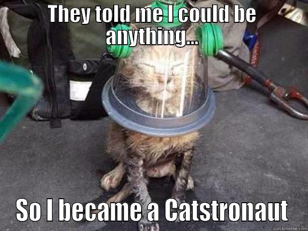 Cat Space Wow - quickmeme