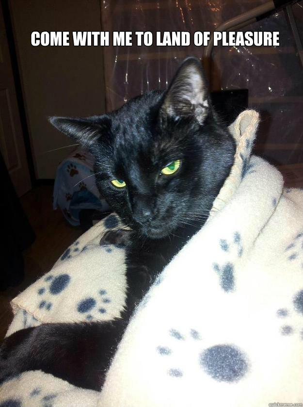 Come with me to land of pleasure - Misc - quickmeme