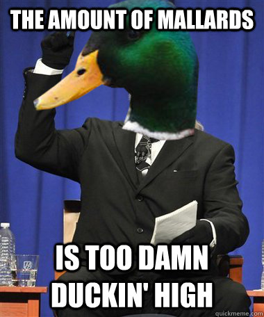 The Amount of mallards Is too damn duckin' high - Misc - quickmeme