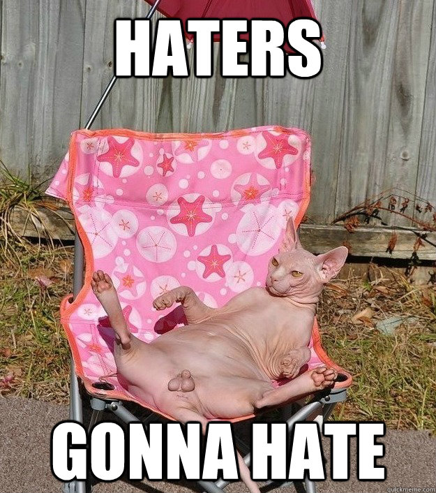 haters gonna hate - Misc - quickmeme