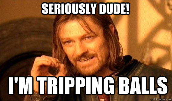 Seriously dude! i'm tripping balls - Boromirmod - quickmeme