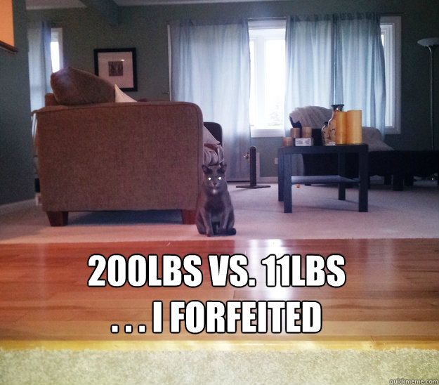 200lbs vs. 11lbs . . . i forfeited - Cat vs. Human - quickmeme