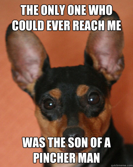 the only one who could ever reach me was the son of a pincher man - pincher man - quickmeme
