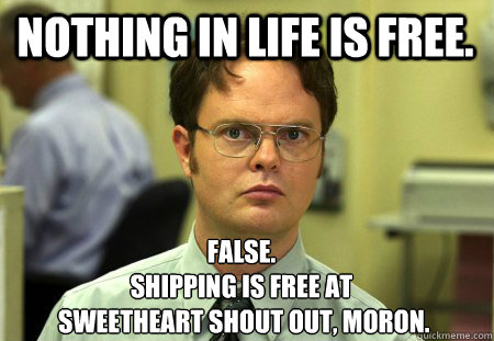 Nothing in life is free. False. Shipping is free at sweetheart shout out, moron. - Misc - quickmeme