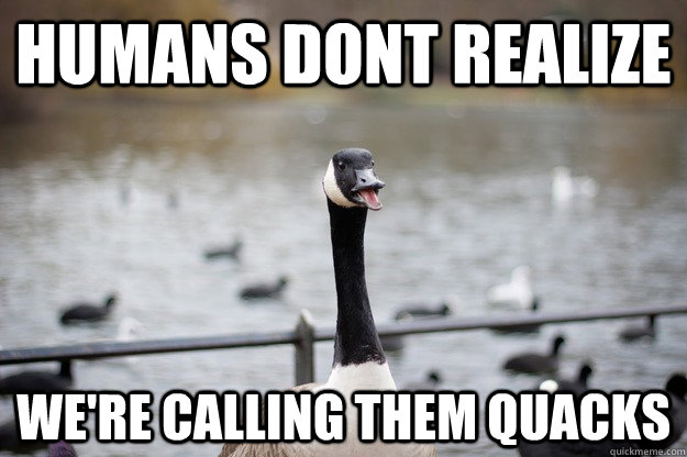 Humans Dont Realize We're Calling them Quacks - Sudden Clarity Clark - quickmeme