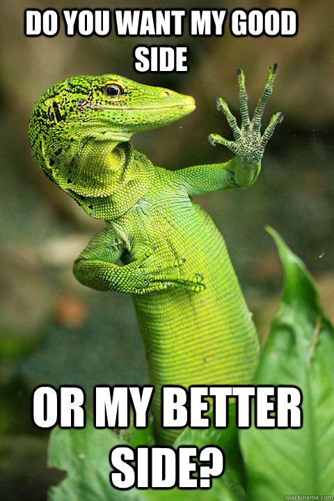 Do you want my good side Or my better side? - Misc - quickmeme