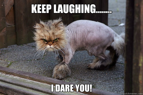 keep laughing........ i dare you! - you think this is funny - quickmeme