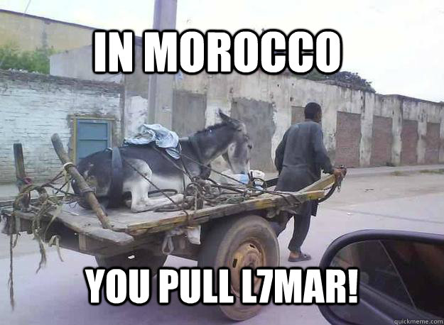 In Morocco You Pull l7mar! - meanwhile in morocco - quickmeme