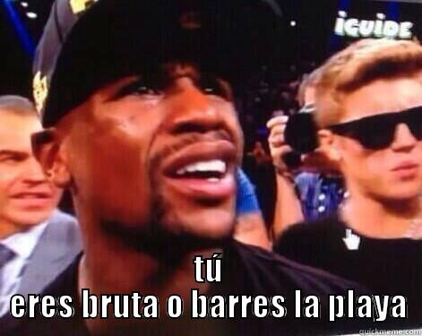 tú eres bruta o barres la playa - quickmeme