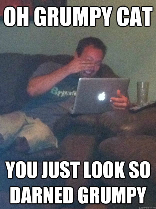 oh grumpy cat you just look so darned grumpy - Misc - quickmeme