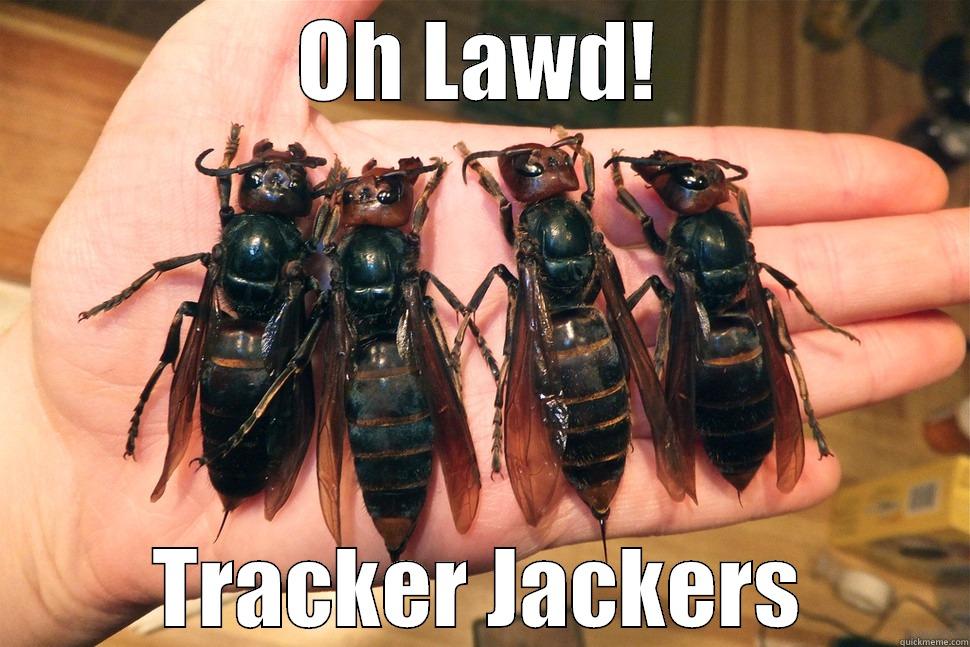 Oh Lawd! Tracker-Jackers! - quickmeme