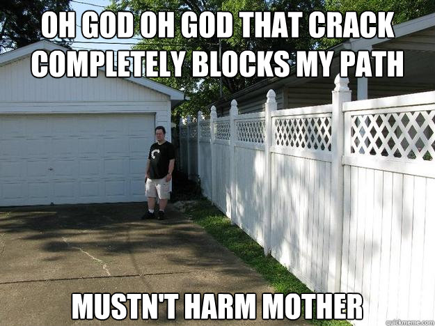 OH GOD OH GOD THAT CRACK completely blocks my path mustn't harm mother - Garage boy - quickmeme