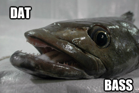 DAt Bass - Misc - quickmeme