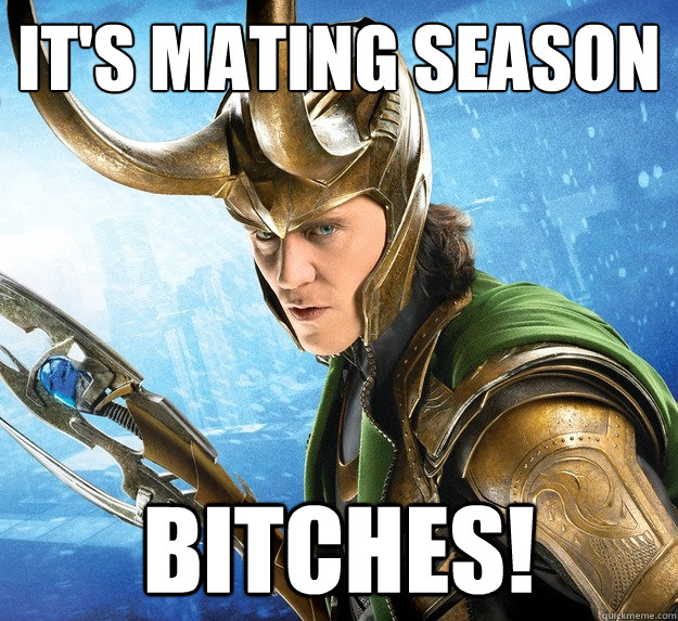 Loki mating memes | quickmeme