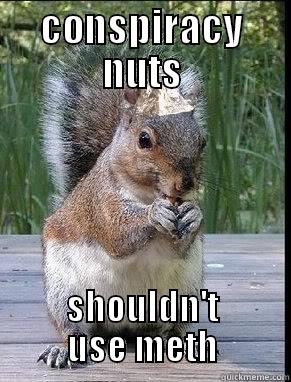 conspiracy squirrel - quickmeme
