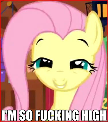 Im so fucking high Fluttershy memes | quickmeme