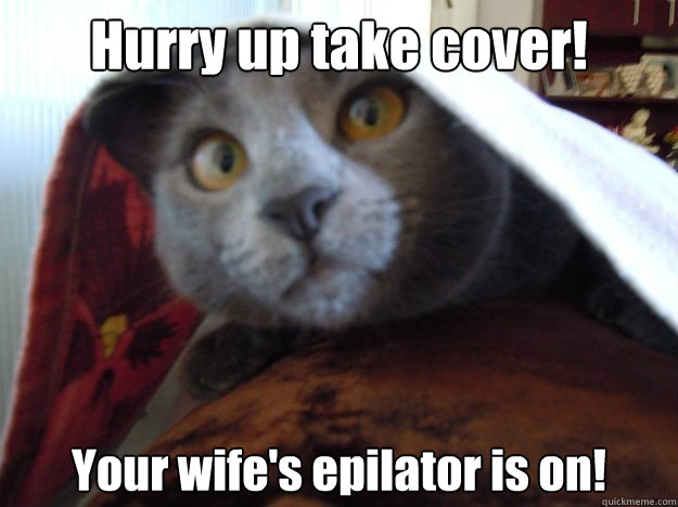 Hurry up take cover! Your wife's epilator is on! - Fear of the Epilator - quickmeme