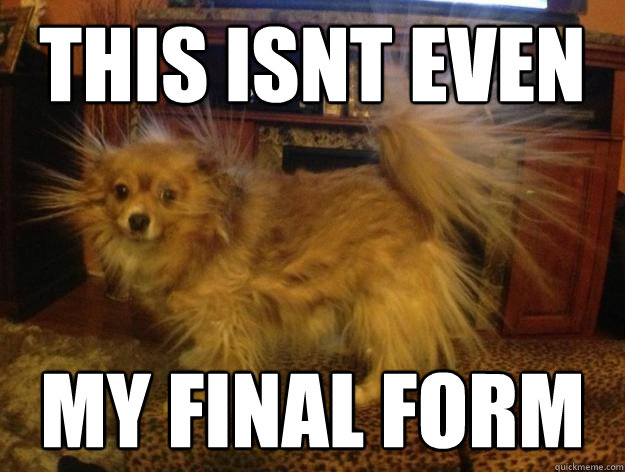 This isnt even my final form - Misc - quickmeme