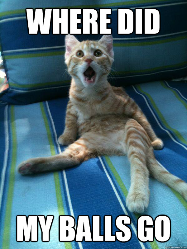 WHere did my balls go - Misc - quickmeme