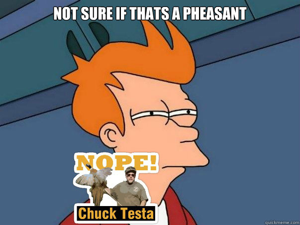 Not sure if thats a pheasant - Fry Chuck - quickmeme