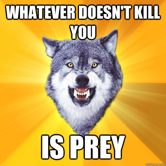 WHATEVER DOESN'T KILL YOU IS PREY - kill - quickmeme