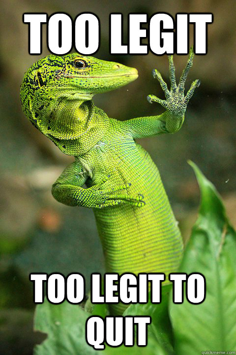 Too legit too legit to quit - Ridiculously Photogenic Lizard - quickmeme