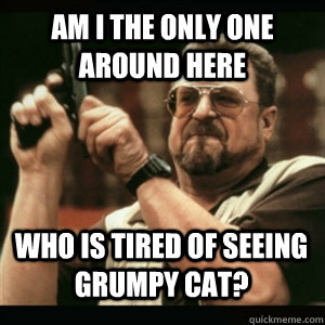 Am i the only one around here who is tired of seeing grumpy cat? - Misc - quickmeme