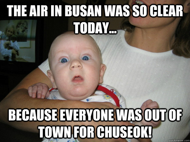 The air in busan was so clear today... because everyone was out of town for Chuseok! - Sudden ...