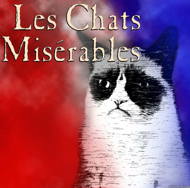 Untitled - Grumpy Cat Les Miserables - quickmeme