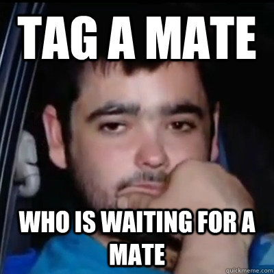 Tag a mate Who is waiting for a mate - Tag a mate waiting for a mate - quickmeme