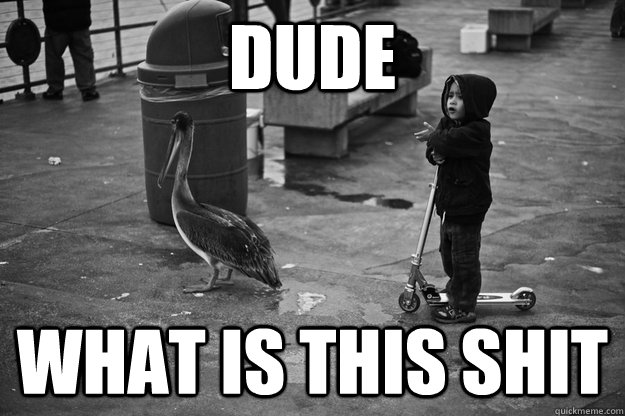 dude what is this shit - ...dafuq - quickmeme