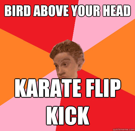 bird above your head karate flip kick - GIRP is fun - quickmeme