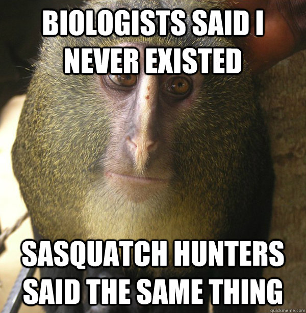 These eyes cry everynight for you, do do do doo - Lesula Monkey - quickmeme