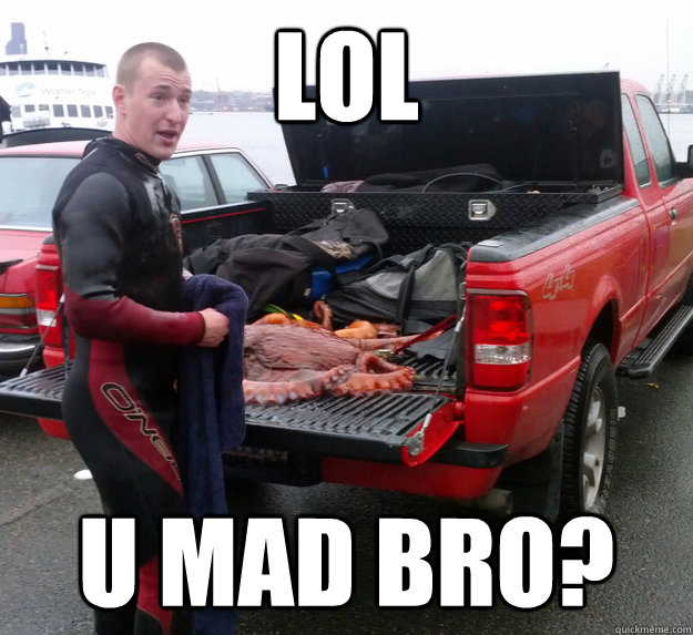 LOL U MAD BRO? - Misc - quickmeme