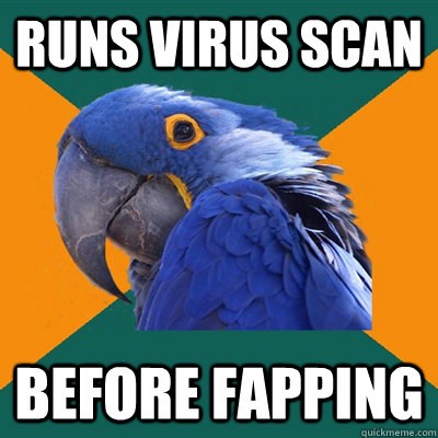 Runs virus scan Before fapping - Paranoid Parrot - quickmeme
