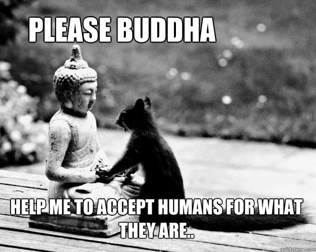 Buddhist-squirrel memes | quickmeme