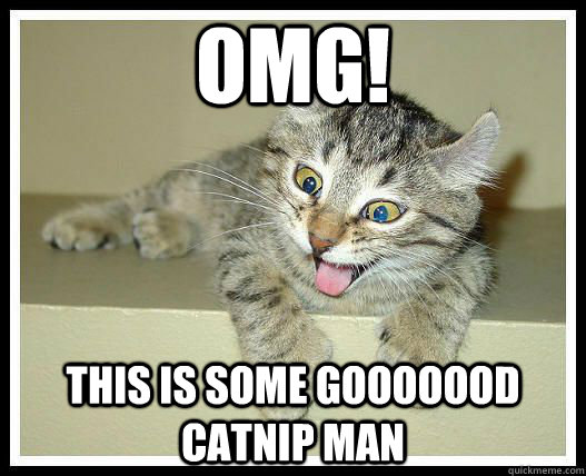 OMG! tHIS IS SOME GOOOOOOD cATNIP MAN - Misc - quickmeme