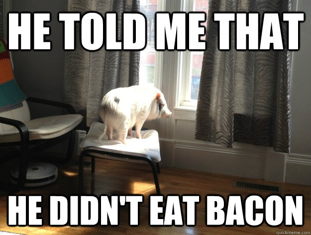 HE TOLD ME THAT HE DIDN'T EAT BACON - Upset Pig - quickmeme