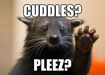 Cuddles? Pleez? - Bearcat cuddle - quickmeme