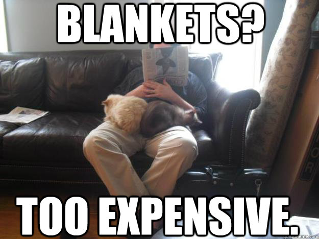 Blankets? Too expensive. - Underpaid Musician - quickmeme