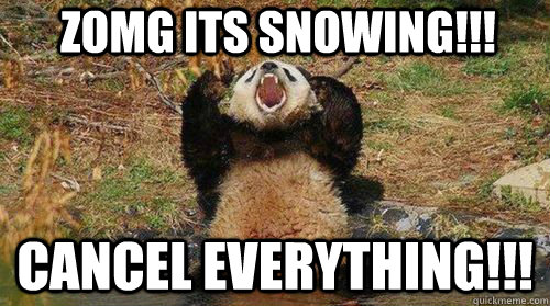 ZOMG ITS SNOWING!!! CANCEL EVERYTHING!!! - Yelling Panda - quickmeme