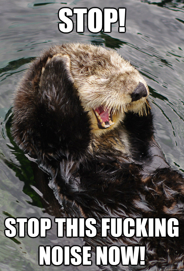 Stop! stop this fucking noise now! - Misc - quickmeme