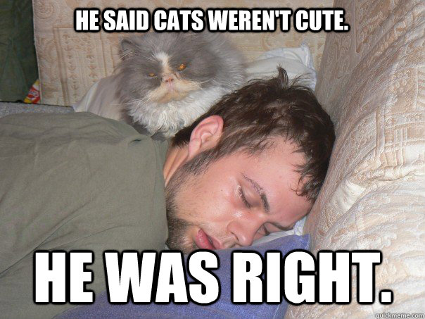 He said cats weren't cute. He was right. - EvilCat - quickmeme